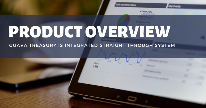 Product Overview | Guava Treasury Solutions